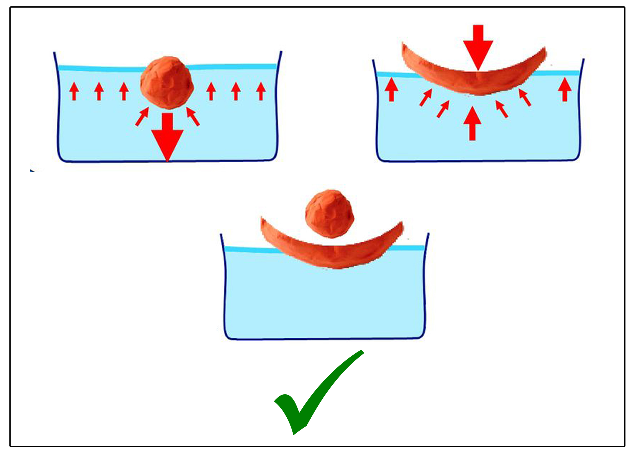 Montessori Seniors Curriculum