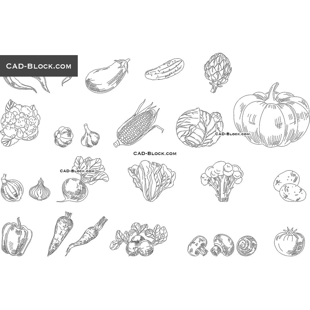 Autocad Blocks Plant Vegetable