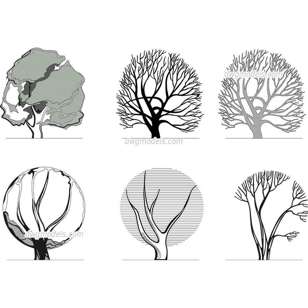 Trees and Plants