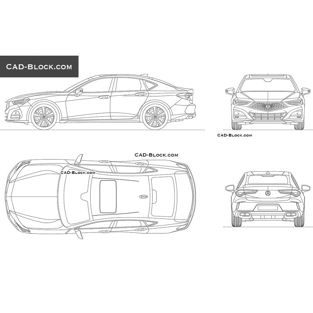 Acura TLX (2020) - Vector car drawings