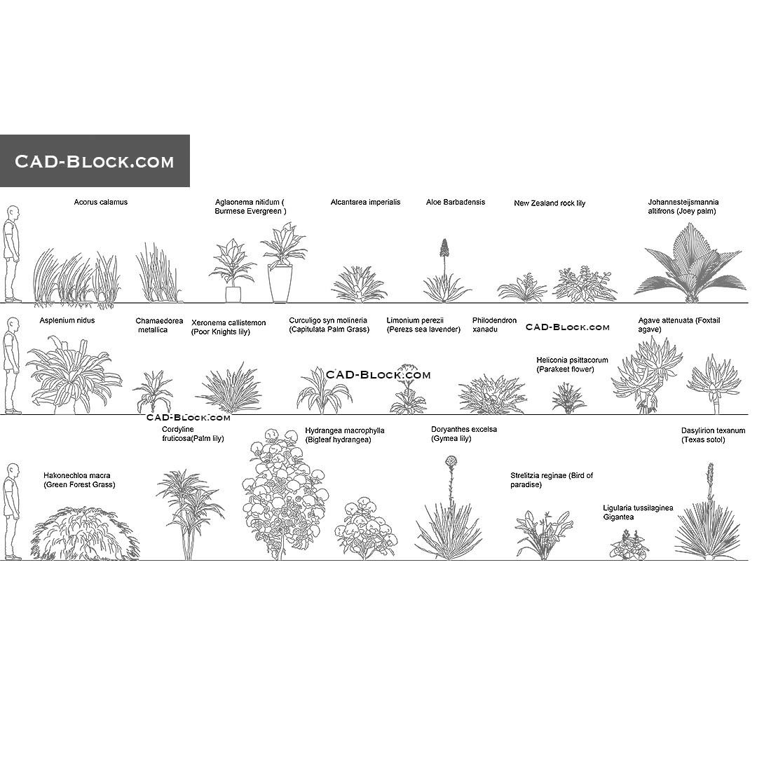 Shrubs - CAD Blocks, AutoCAD, DWG
