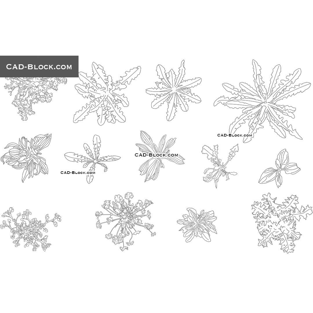 Herbaceous Plants - CAD Blocks, AutoCAD, DWG