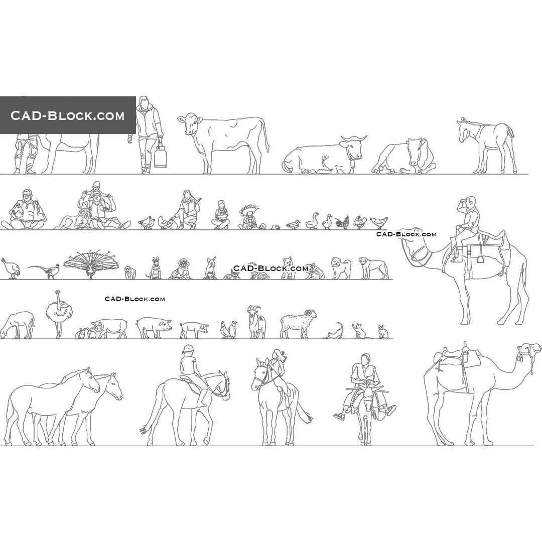 Domestic Animals - CAD Blocks, AutoCAD, DWG
