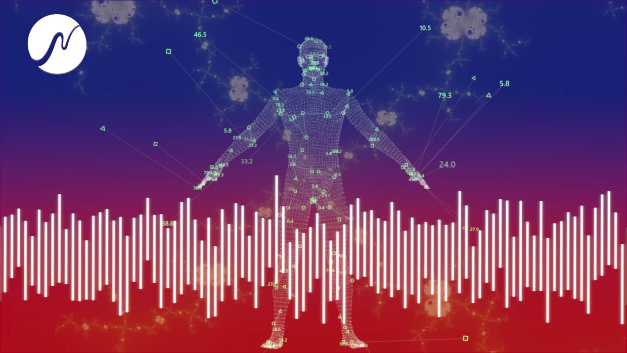 Regulation Of The Circulatory System (neowake® Biofrequencies)
