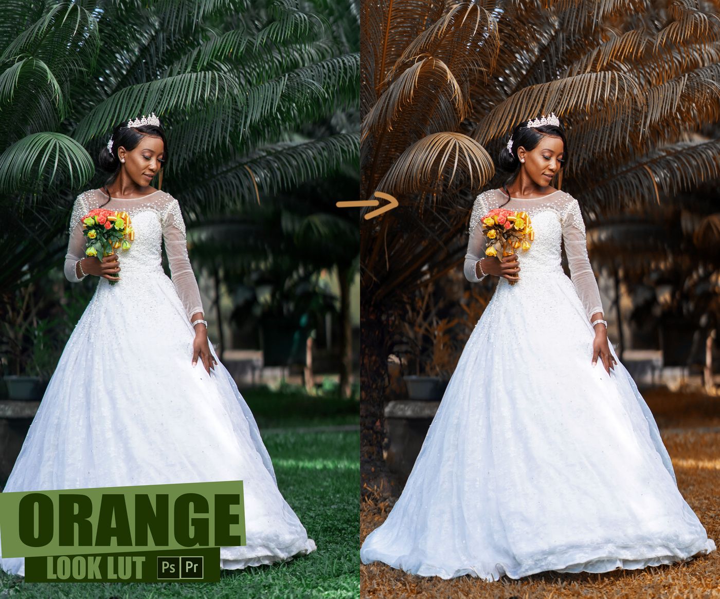 Vintage 2.0 Lut Pack