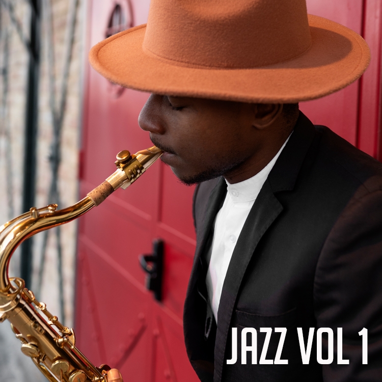 Dinner Jazz / Corporate Cocktail vol 1 (40 edits)