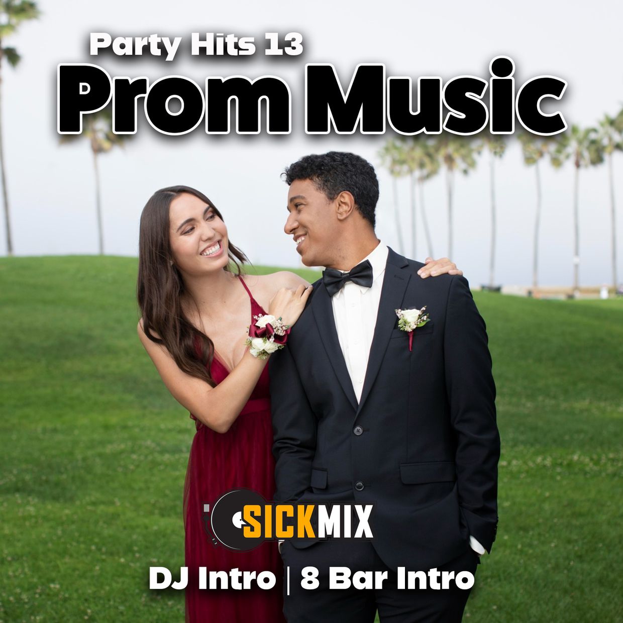 Party Hits 13 (Prom 3) (40 edits)