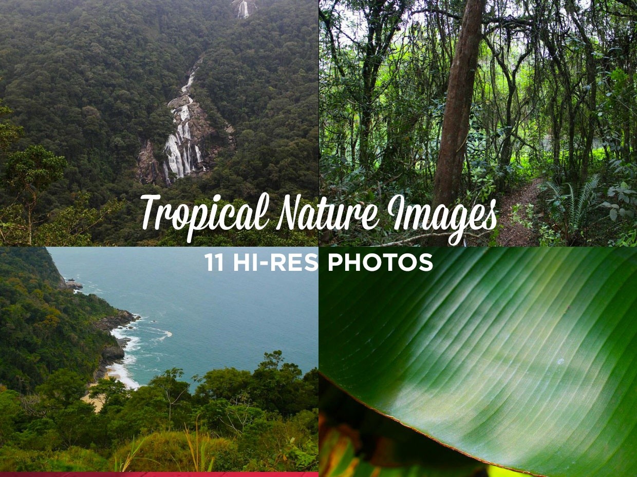 11 HD TROPICAL NATURE IMAGES