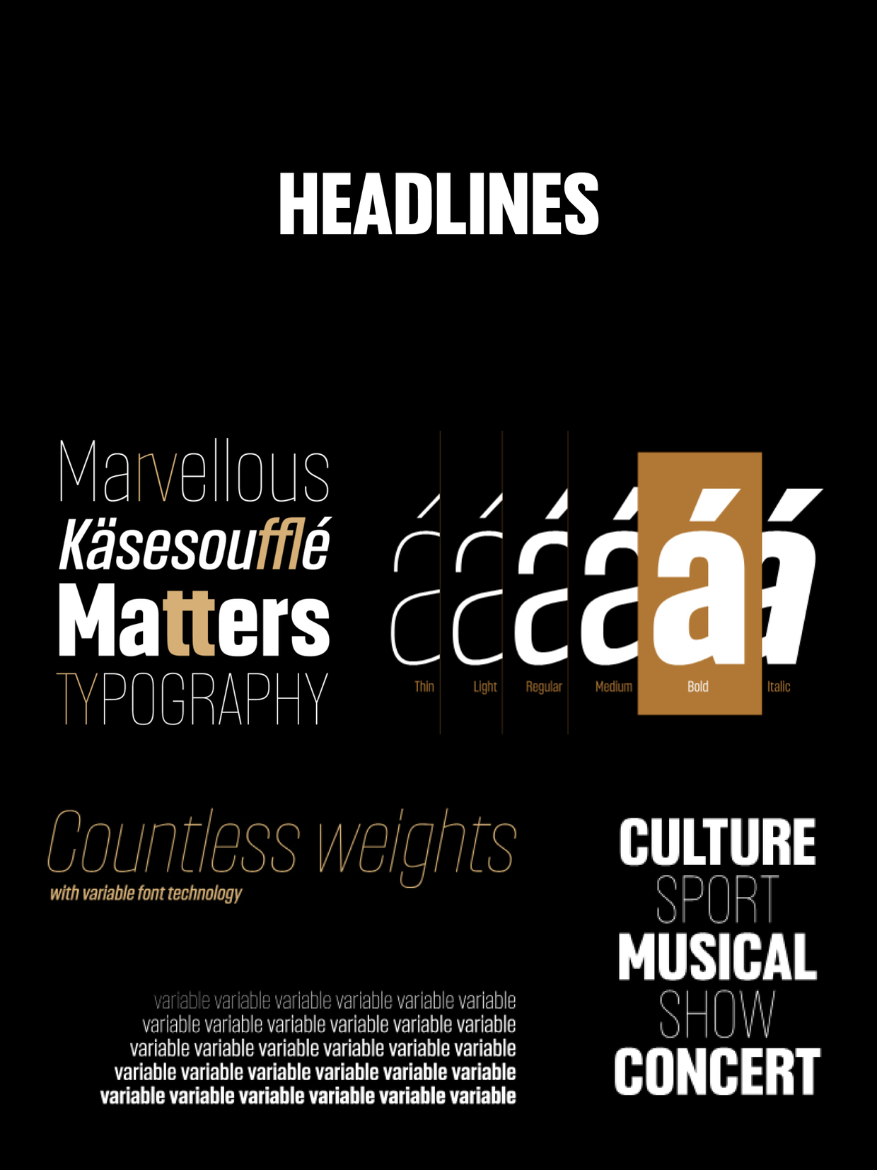 Headlines Family | 14 Font Styles