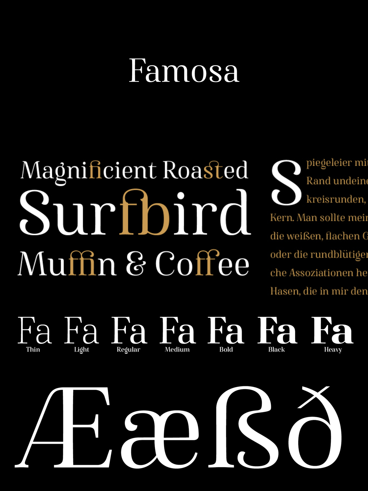 Famosa Family | 7 Font Styles