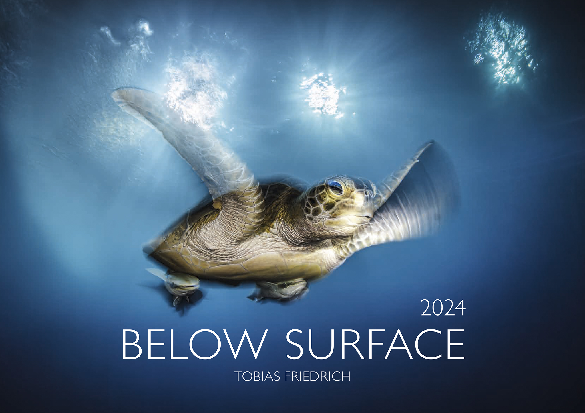 Below Surface Underwater Photography By Tobias Friedrich