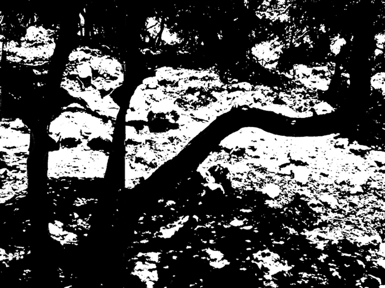 Treasure Cave of Juniper Spring