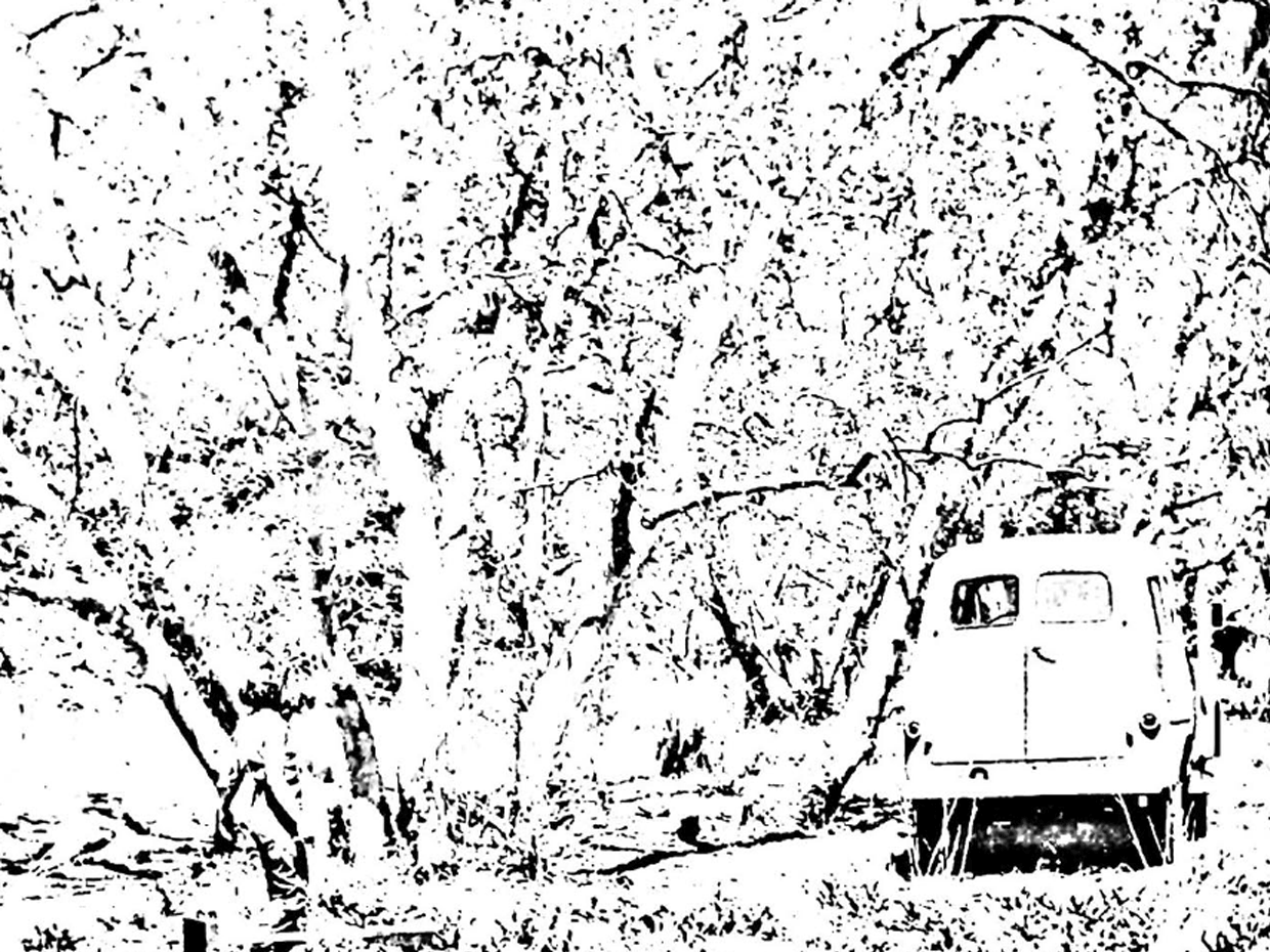 Treasure of Skeleton Canyon