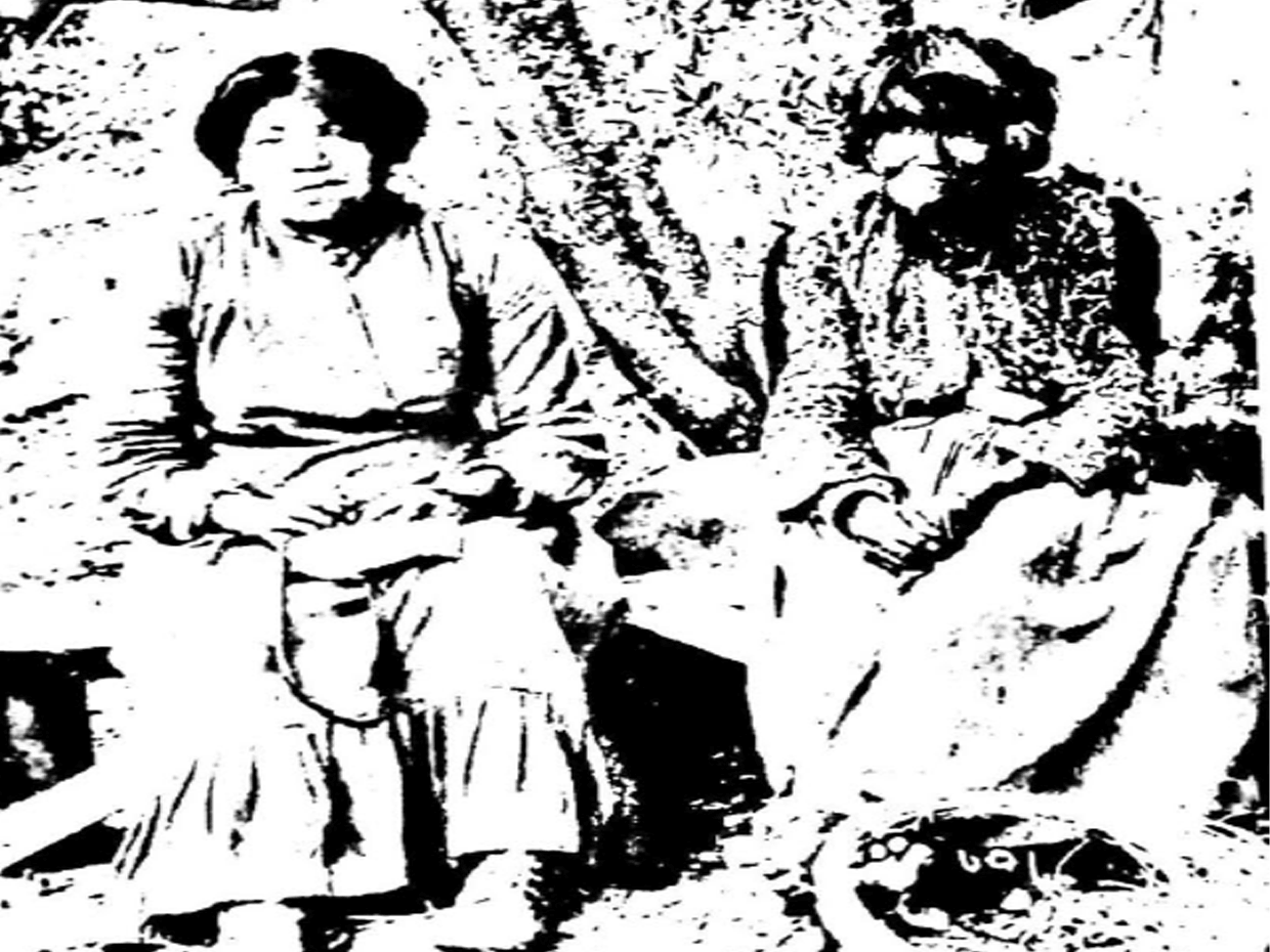 The Magnificent Fraud