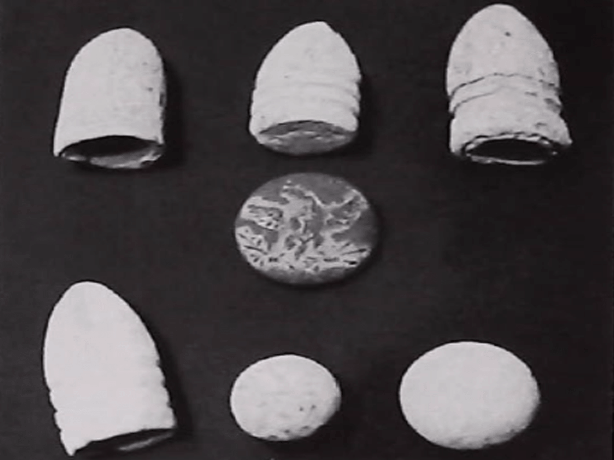 Relic Hunting by the Creek