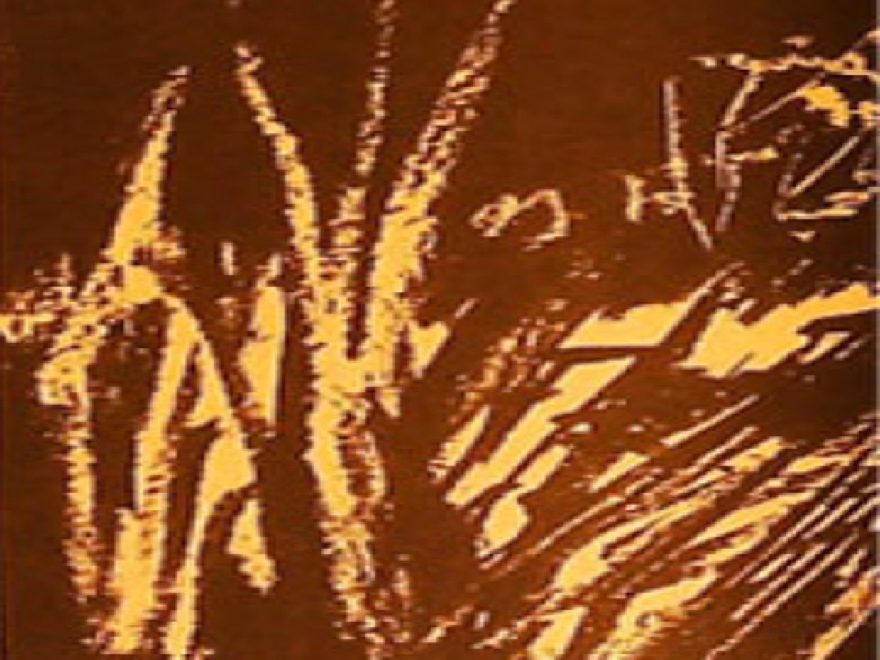 The Treasure of Indian Key