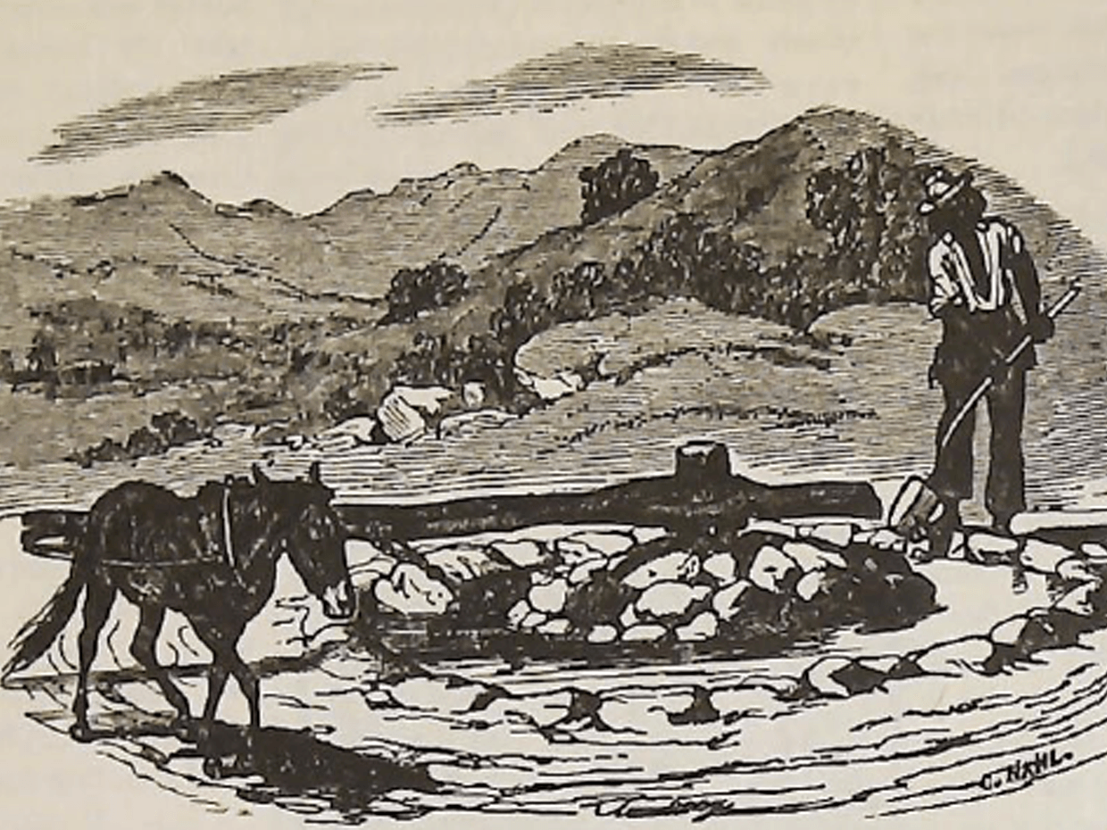 Yours for the Digging