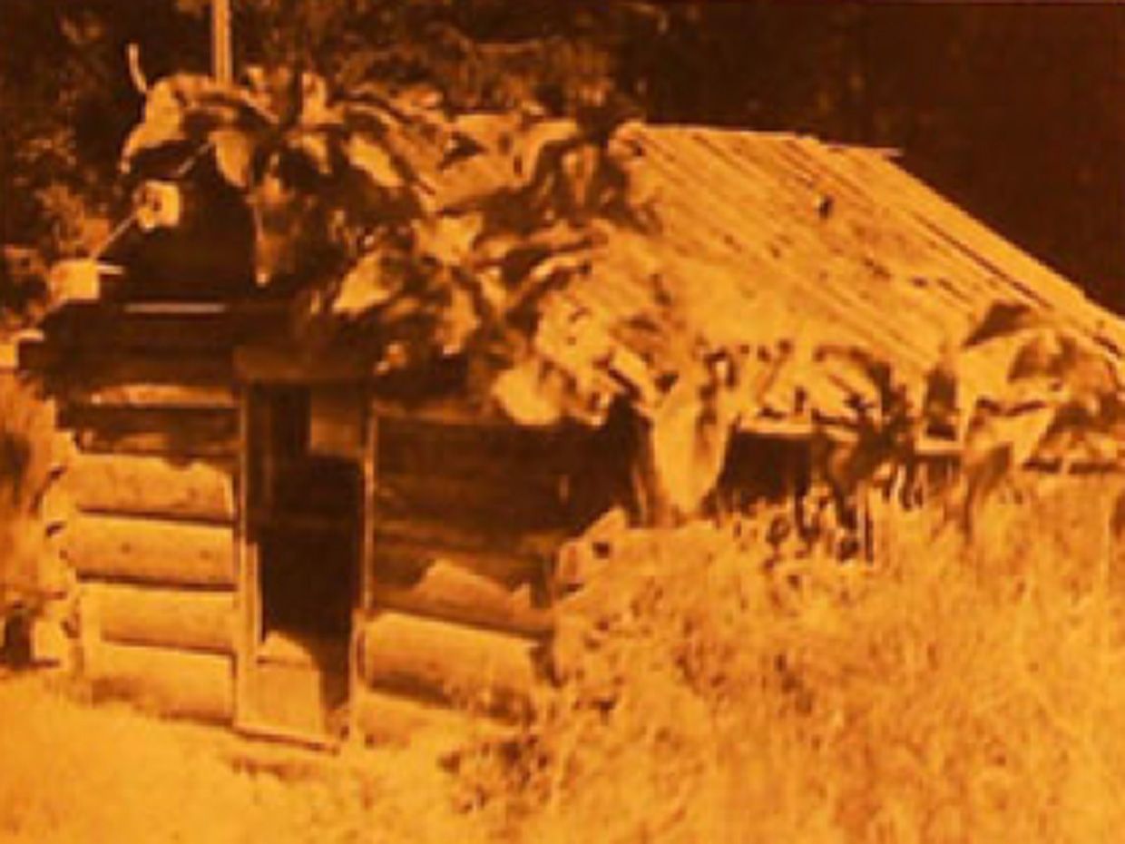 Mystery Tunnel and The Missing Gold Bars