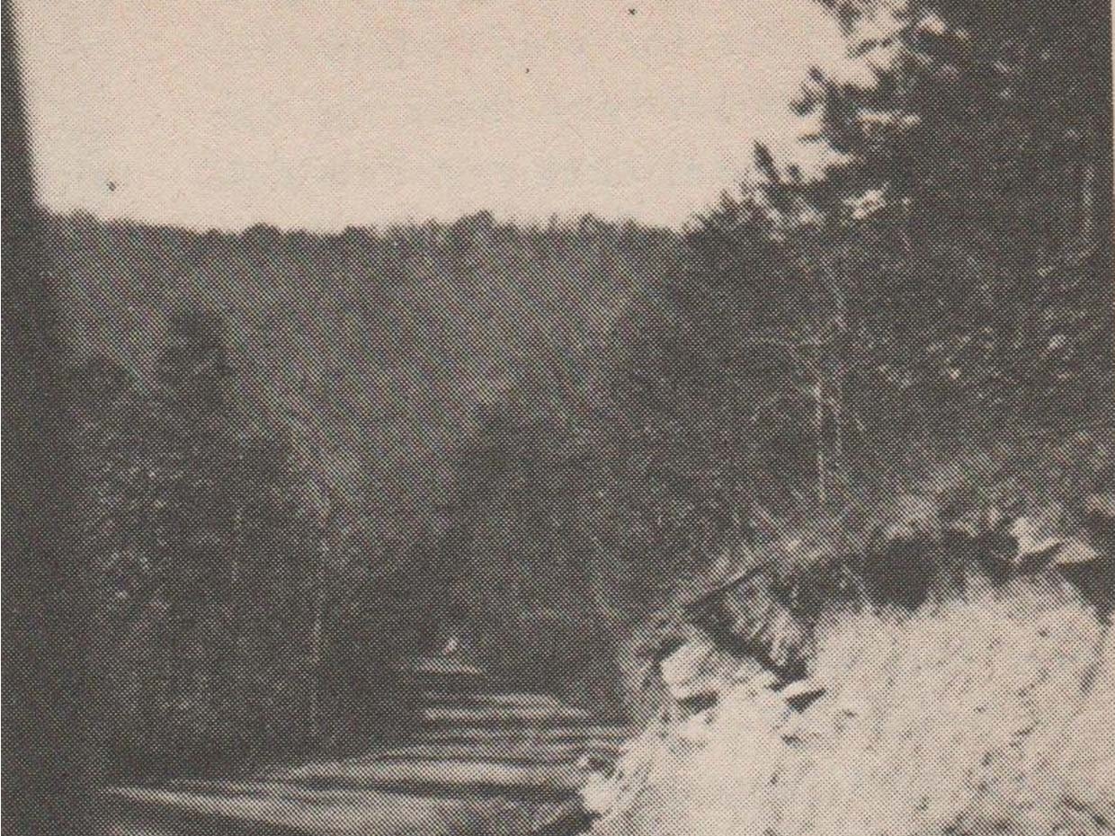Lost Silver Mine on Piney Creek