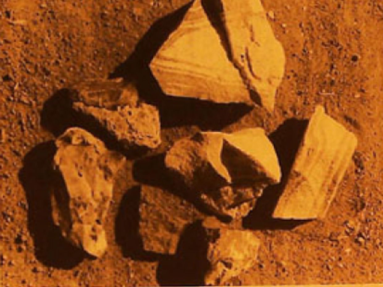 Rock Collecting Near Las Vegas, Nevada