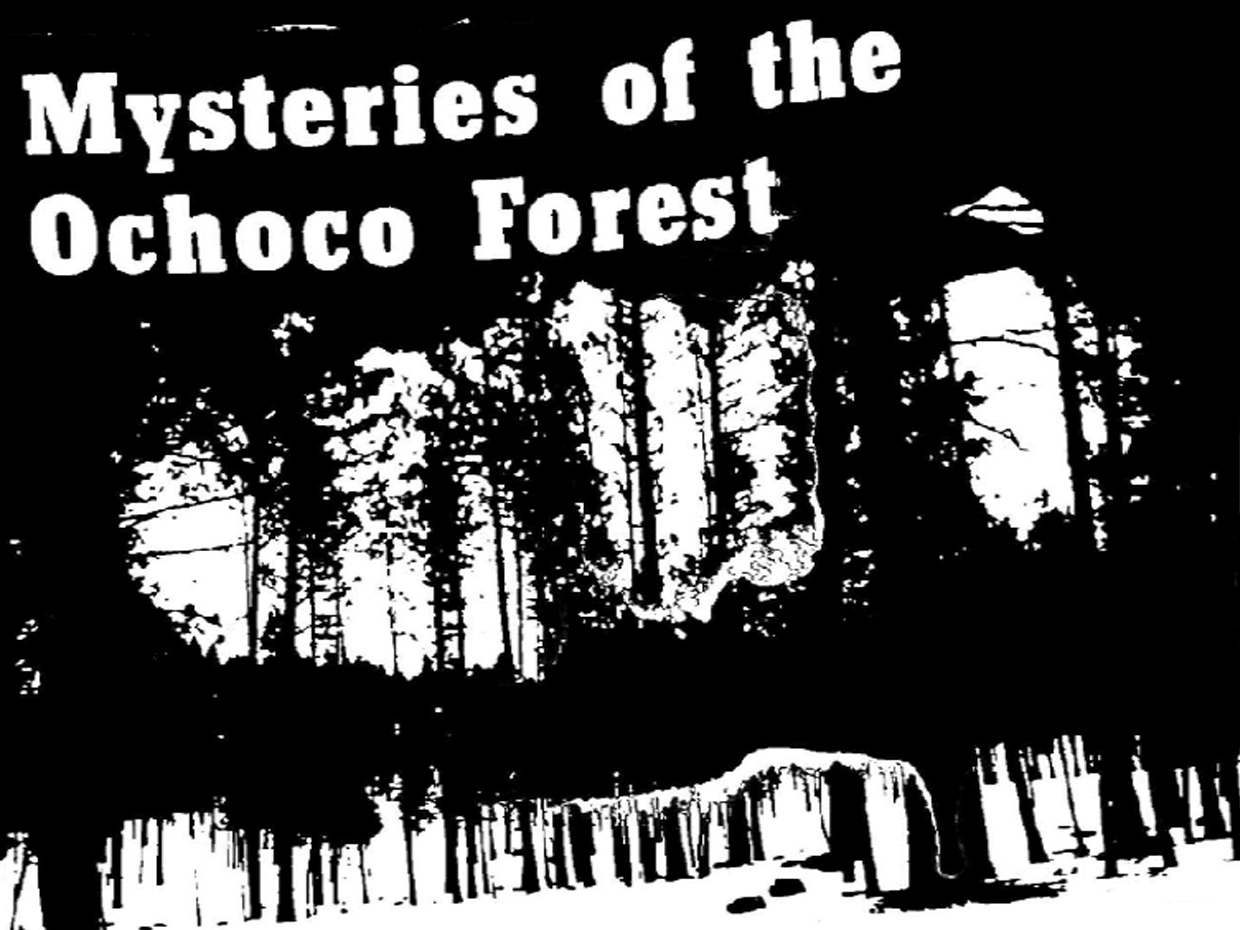 Mysteries of the Ochoco Forest