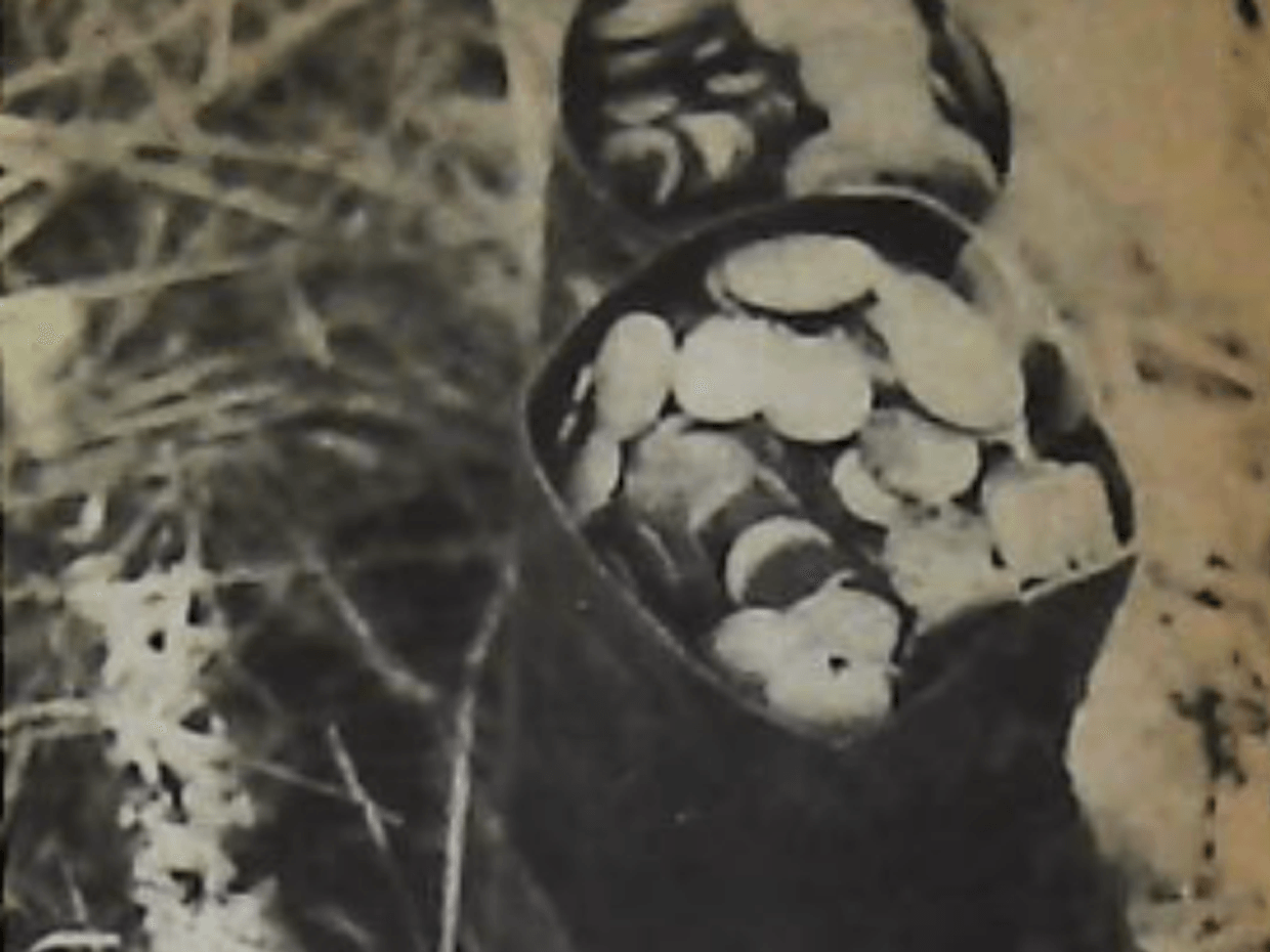 The Gold Coins Of Baron Castin