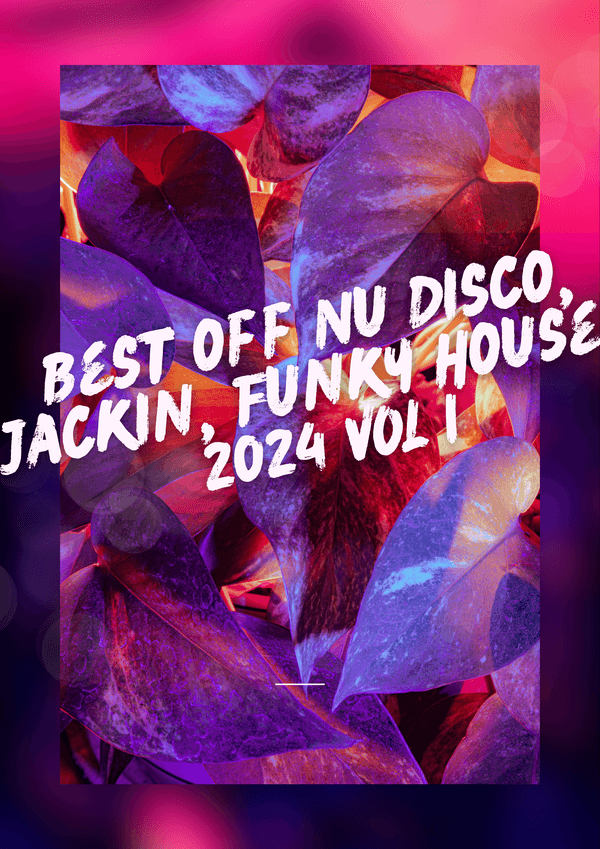 Best Off Nu Disco Jackin Funky House 2024 Vol 1 5