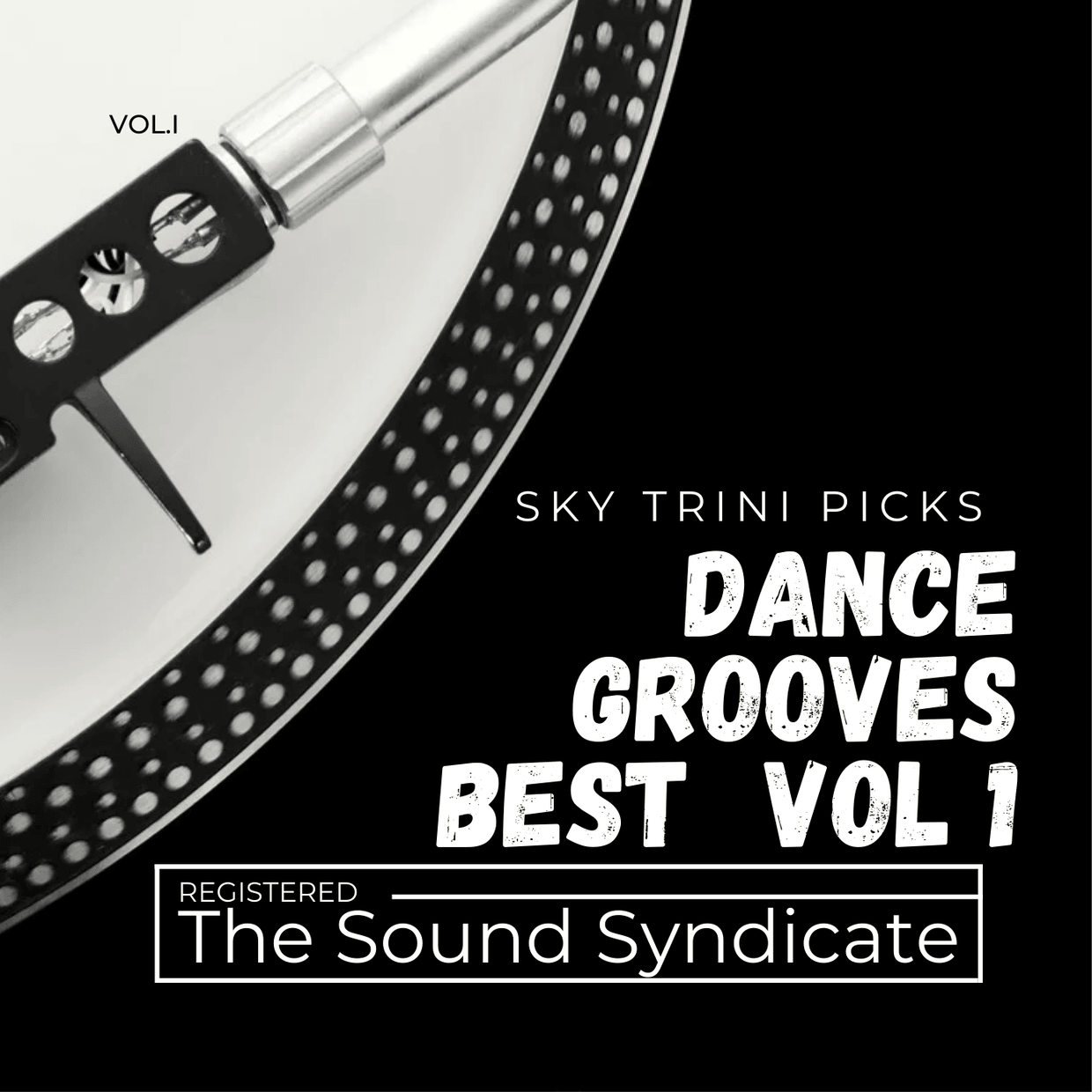 DANCE GROOVES BEST VOL 1 2025 (40 items)