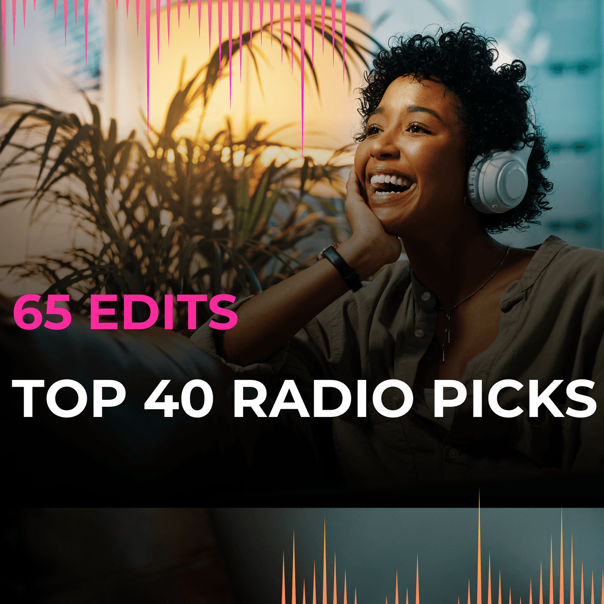 TOP 40 RADIO PICKS (65 items)