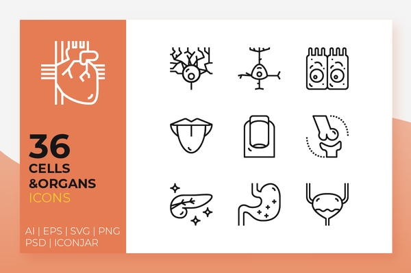 Cell & Organs Icons