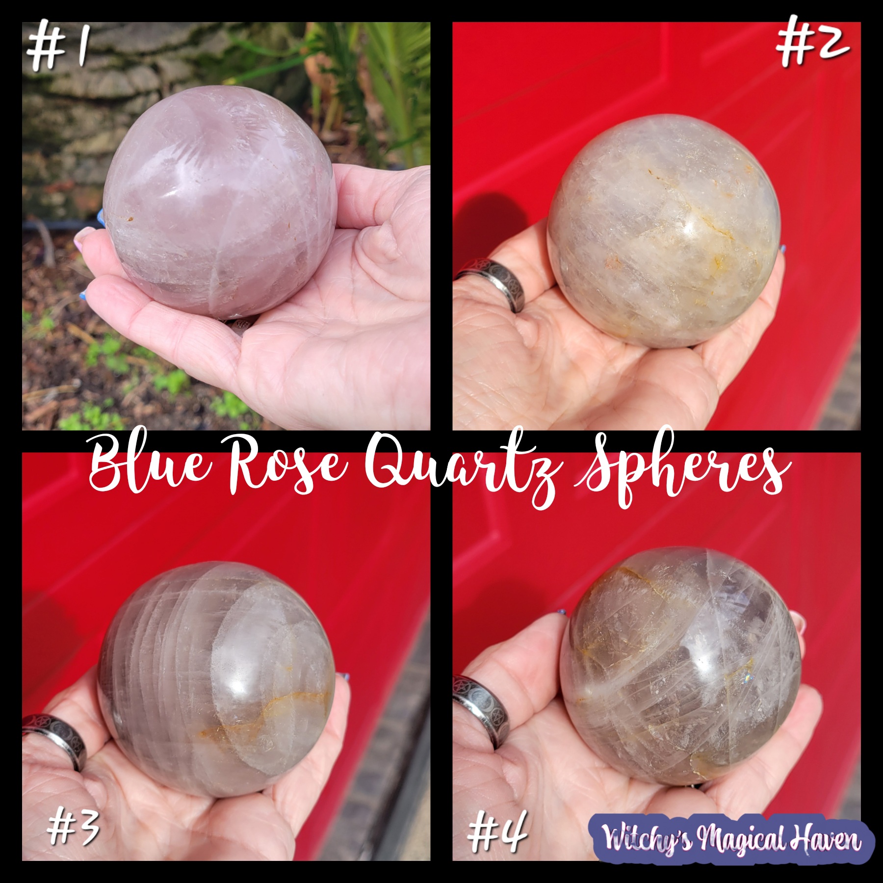 Witchy's Magical Haven