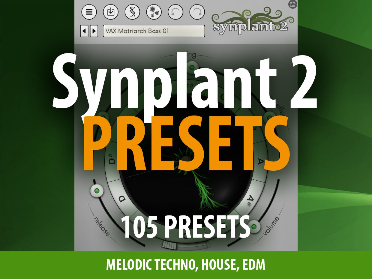 Andi Vax VITAL Bank – 215 Premium Presets for Melodic Techno, House ...