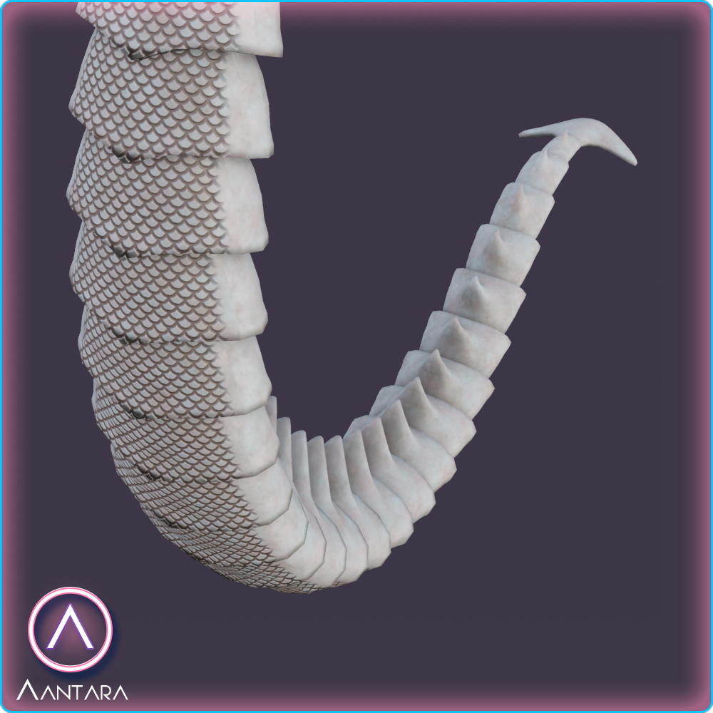 DragonBone Horn & Tail Set