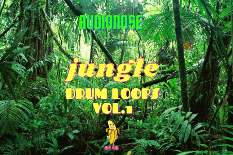 Audionose Sound Libraries