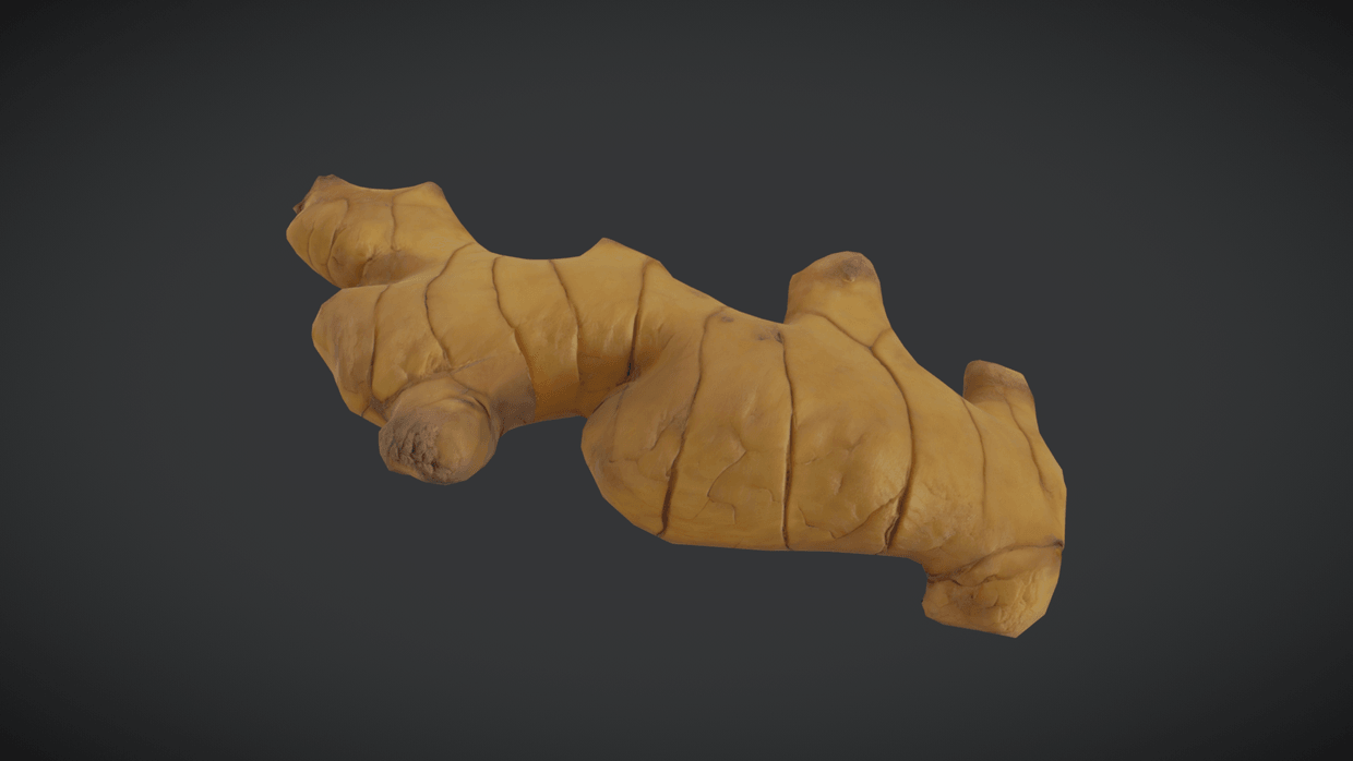 Ginger – Low Poly PBR 3D Model