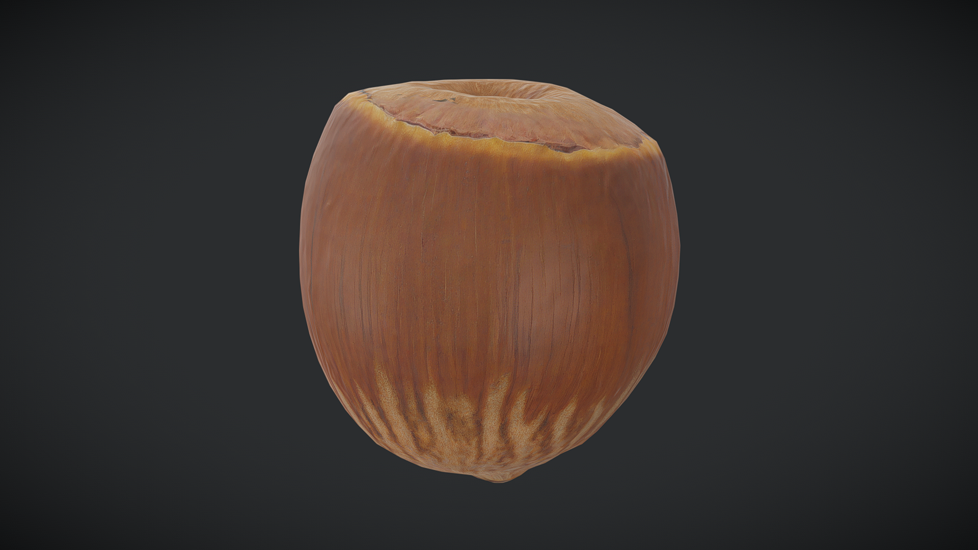 Hazelnut - Low Poly PBR 3D Model with 4K Textures