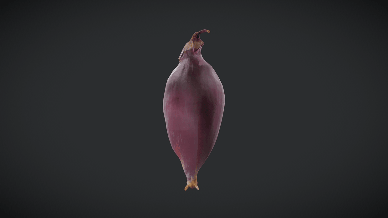 Shallot - Low Poly PBR 3D Model with 4K Textures