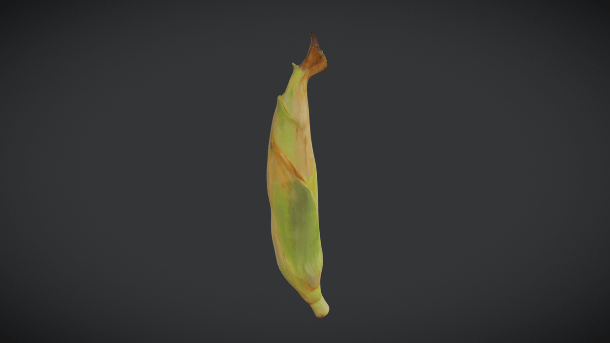 Corn Husk – Low Poly PBR 3D Model