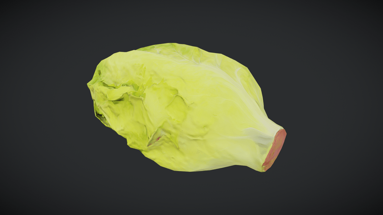 Lettuce - Low Poly PBR 3D Model with 4K Textures