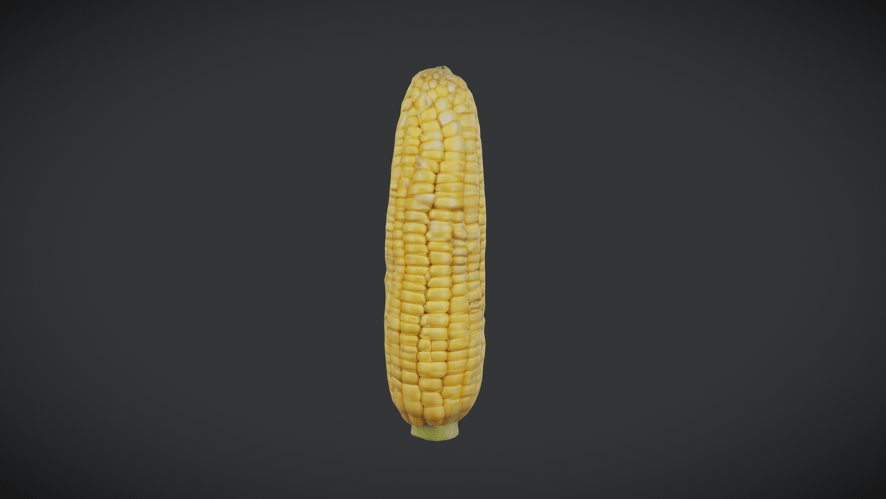 Corn Cob – Low Poly PBR 3D Model