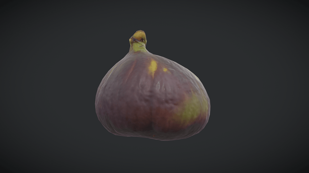 Fig - Low Poly PBR 3D Model with 4K Textures