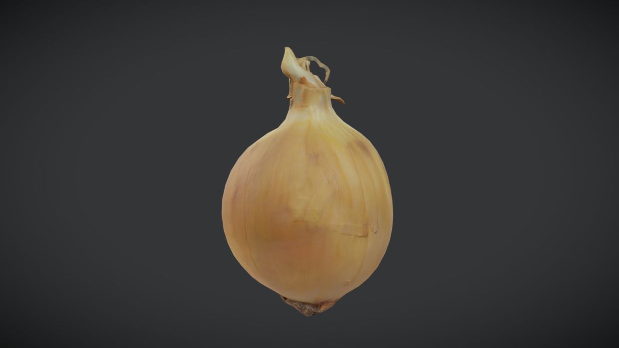 Onion 2 – Low Poly PBR 3D Model