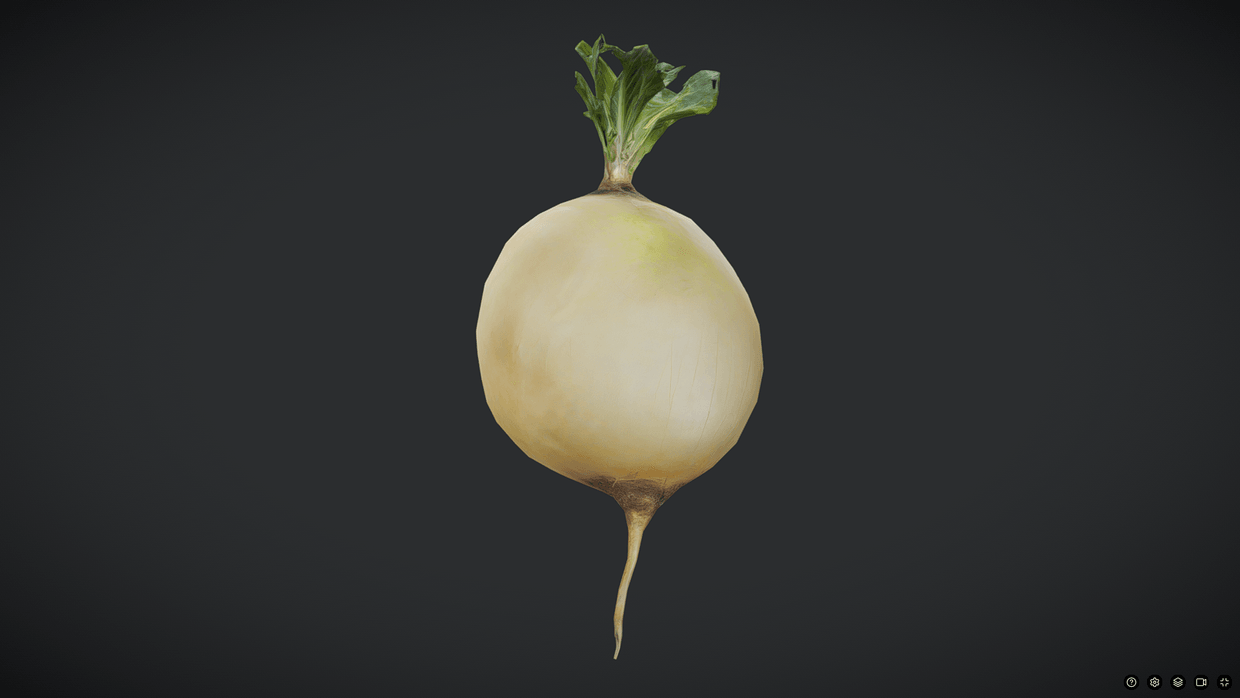 Turnip - Low Poly PBR 3D Model with 4K Textures