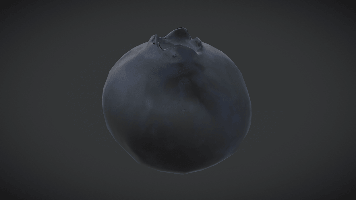 Blueberry – Low Poly PBR 3D Model