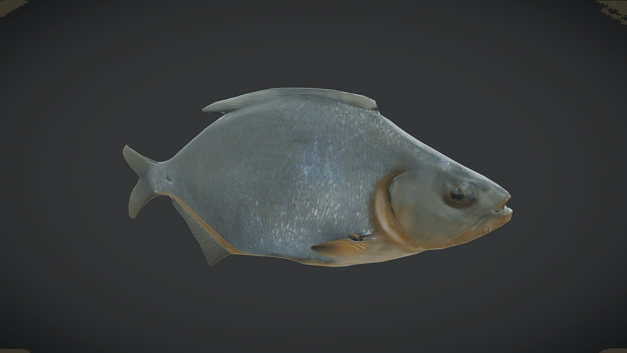 Dried Fish – Low Poly 3D Asset for Stylized Scenes