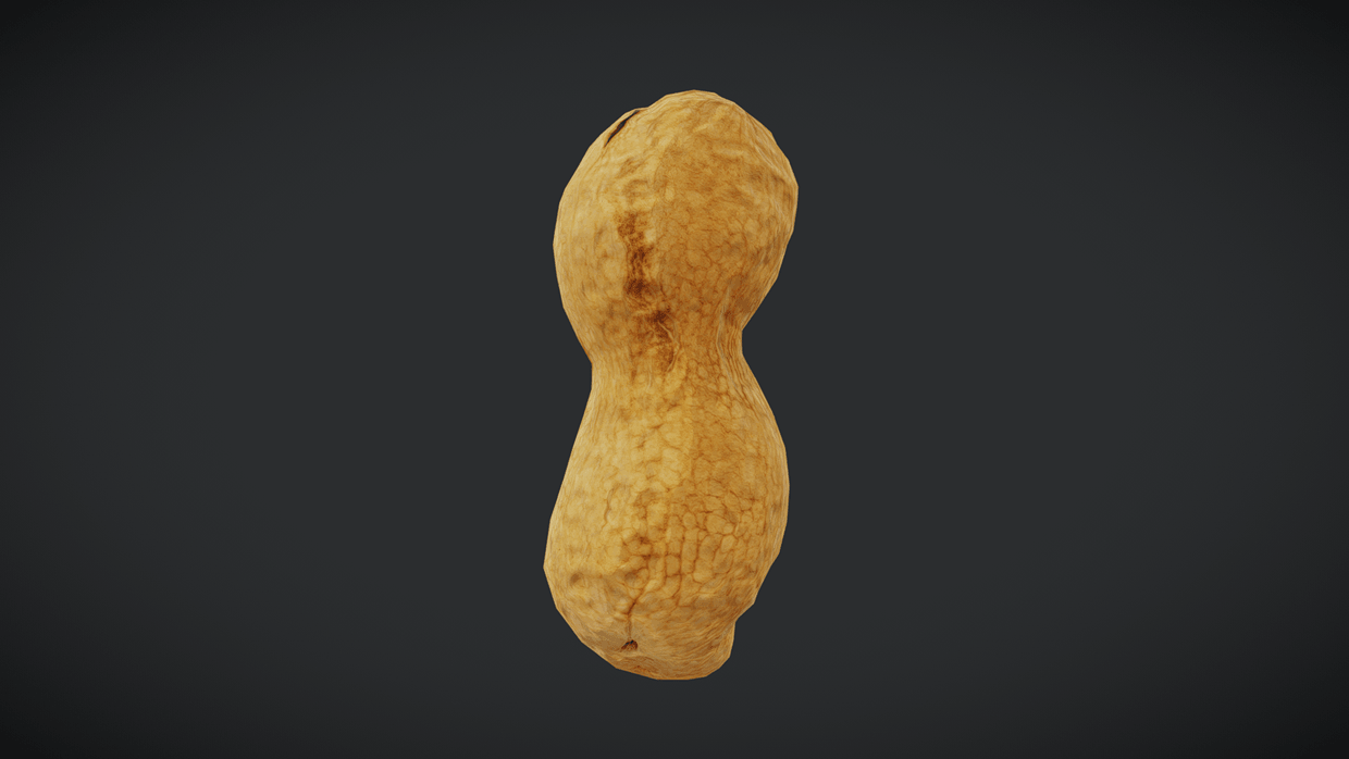 Peanut Pod - Low Poly PBR 3D Model with 4K Textures