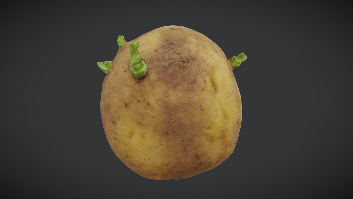 Sprouted Potato – Low Poly PBR 3D Model