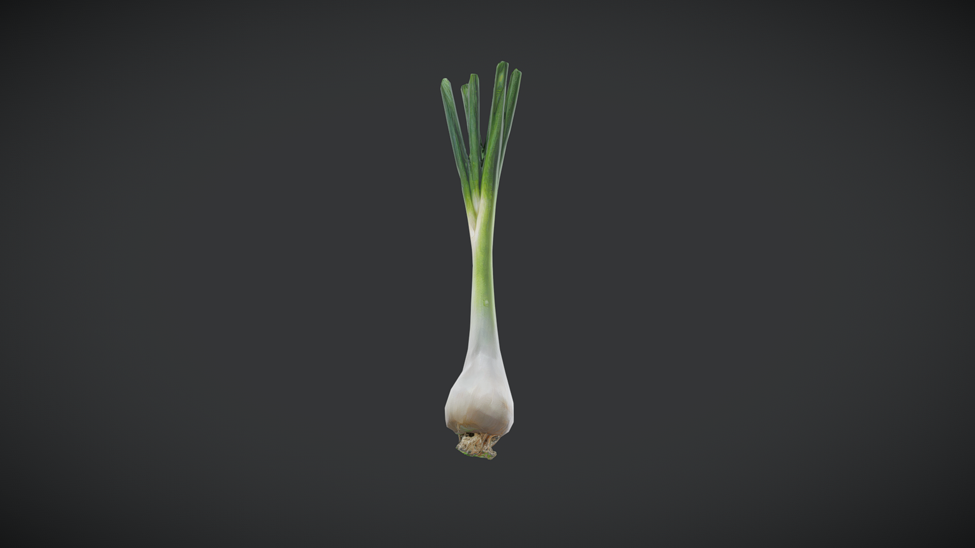Scallion - Low Poly PBR 3D Model with 4K Textures