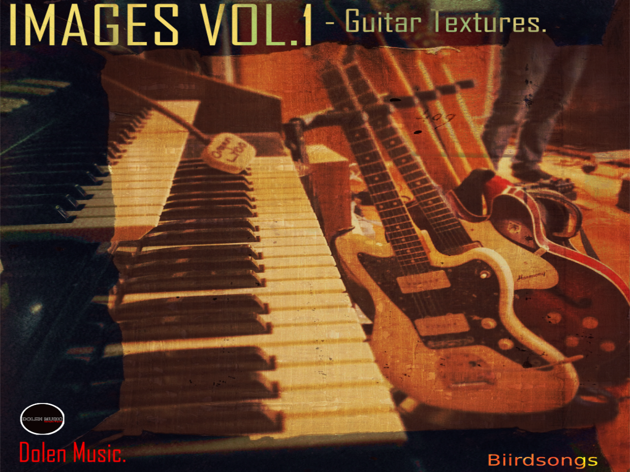 IMAGES Vol.1 - Electric Guitar Loop Kit