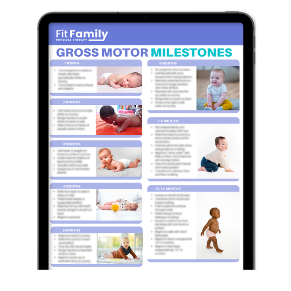 Infant Gross Motor Milestones Cheat Sheet (0 - 12 mos)